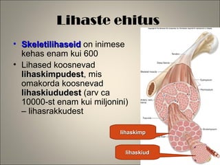 Lihased | PPT