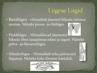 Liigesed | PPTX