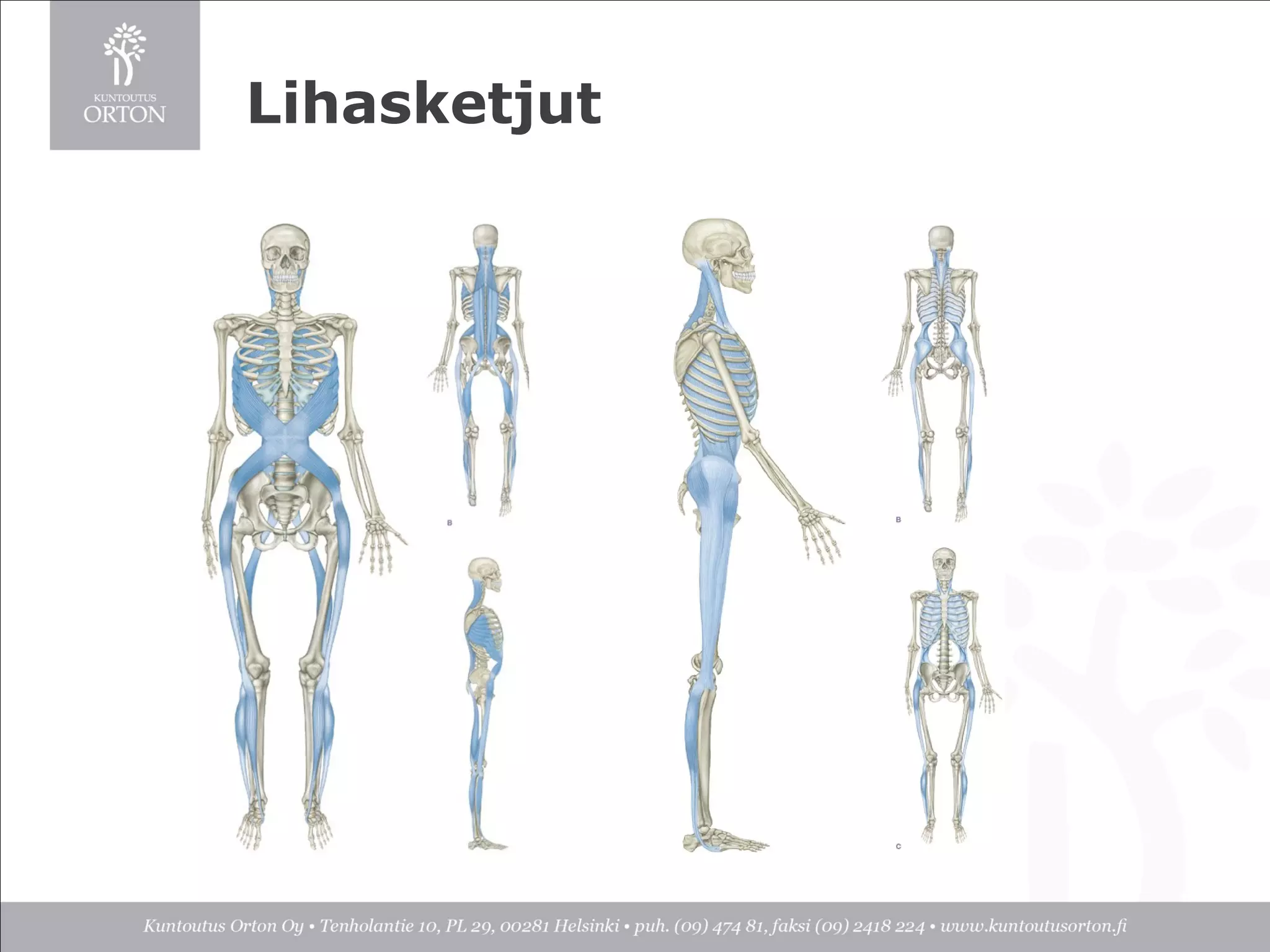 Liikkuvuus ja lihashuolto_Kuntoutus_Orton | PPT