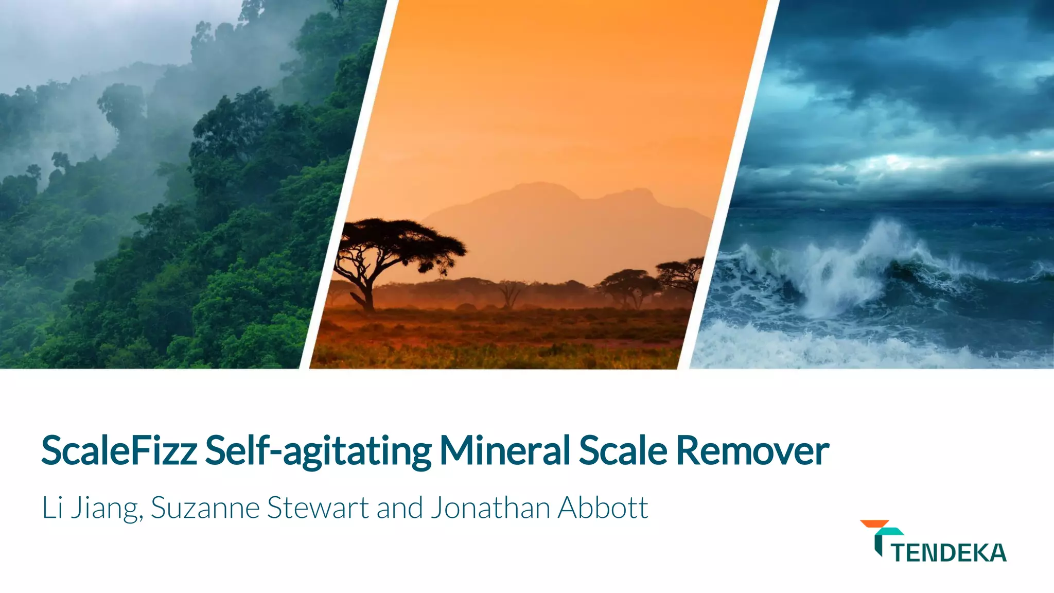 INTRODUCING SCALEFIZZ: A SELF-AGITATING MINERAL SCALE REMOVER | PDF