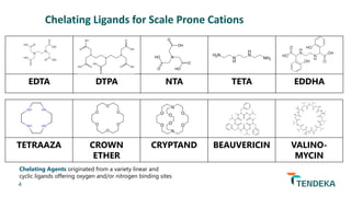 INTRODUCING SCALEFIZZ: A SELF-AGITATING MINERAL SCALE REMOVER | PDF