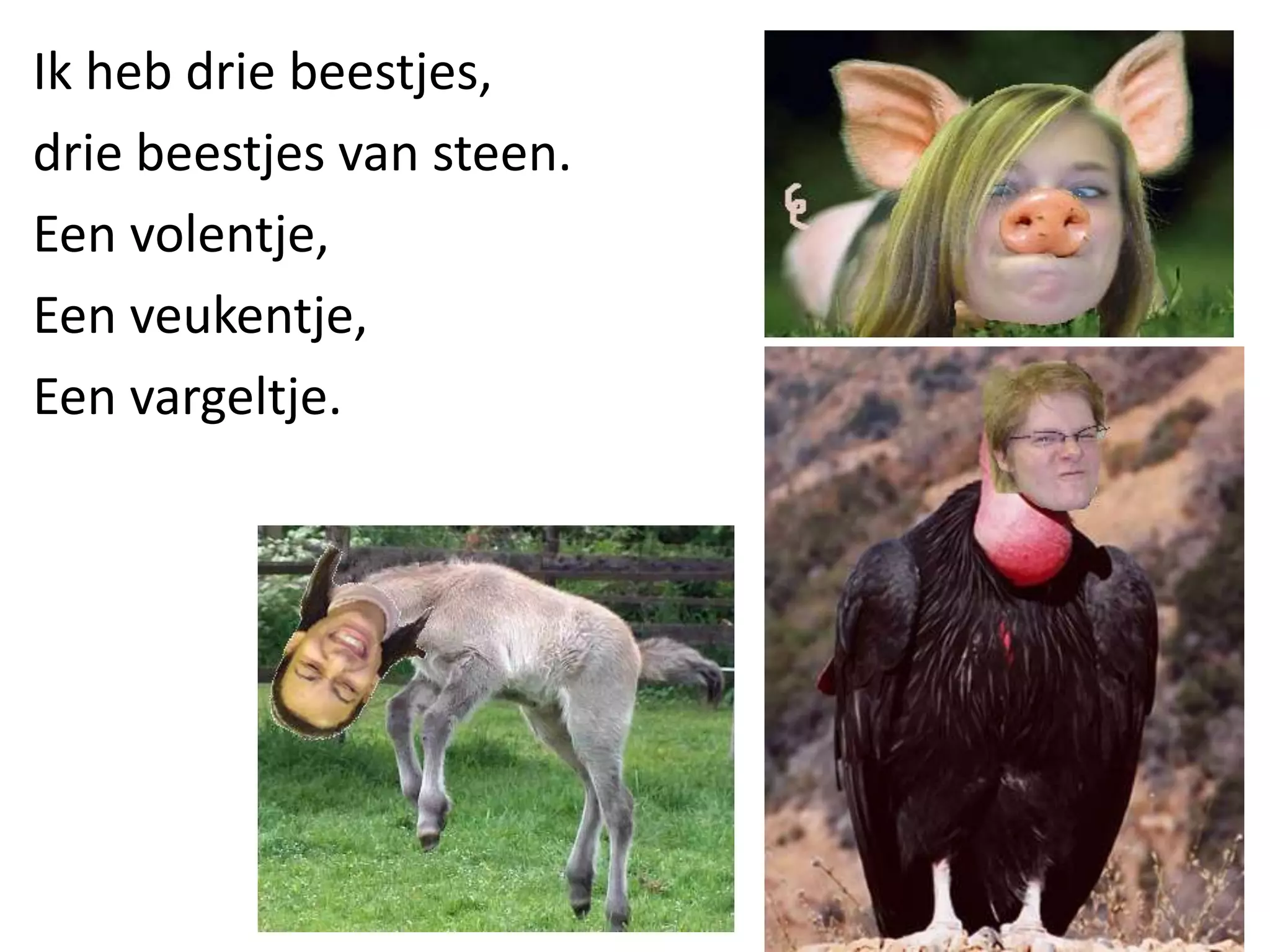 Lijmen | PPT