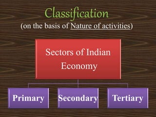 Sectors of Indian Economy | PPTX