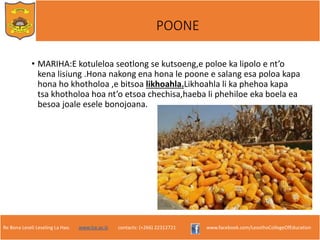 Lijo tsa basotho | PPTX