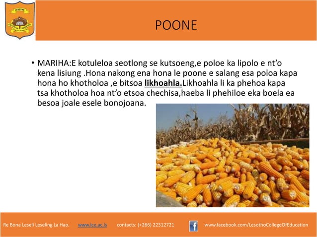 Lijo tsa basotho | PPTX