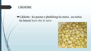 LIJO TSA SESOTHO | PPTX | Africa Travel | Travel Locations