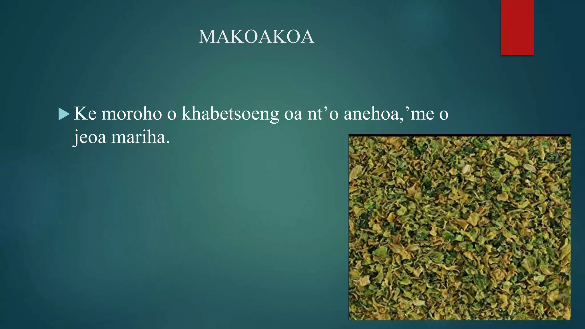 LIJO TSA SESOTHO | PPTX