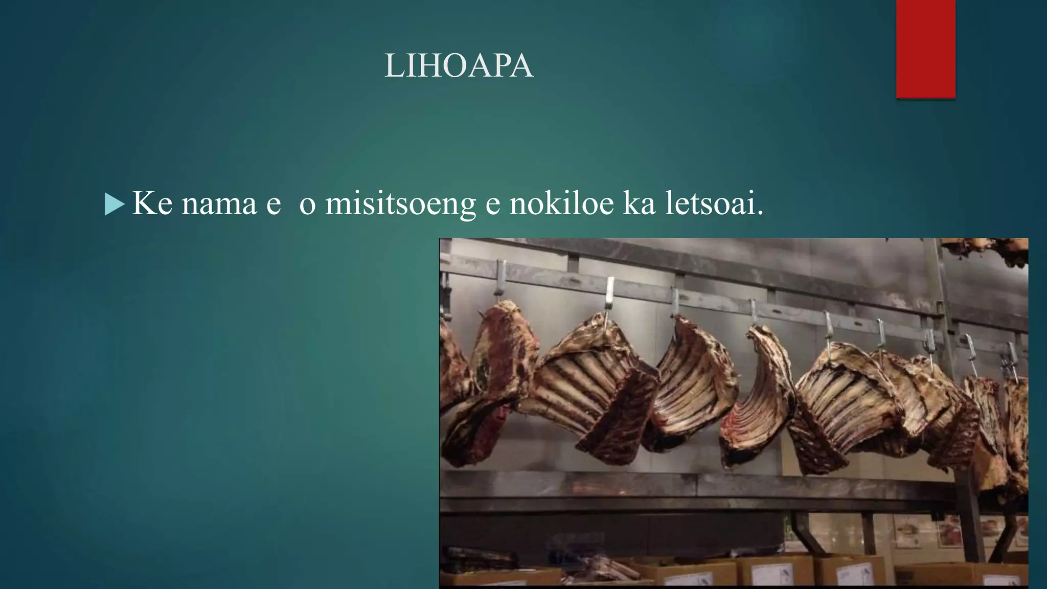 LIJO TSA SESOTHO | PPTX