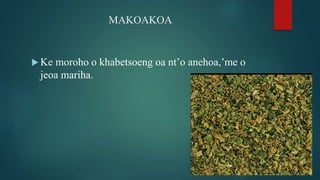 LIJO TSA SESOTHO | PPTX