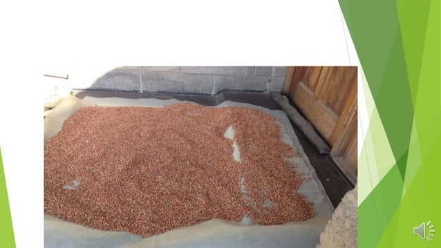 Lijo tsa sesotho.pptx