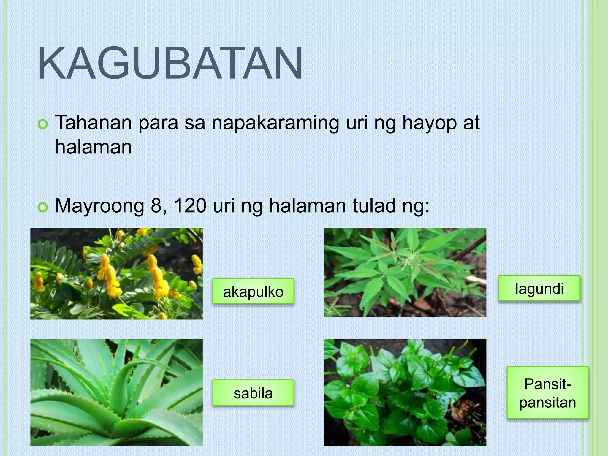 Yamang Lupa Sa Pilipinas