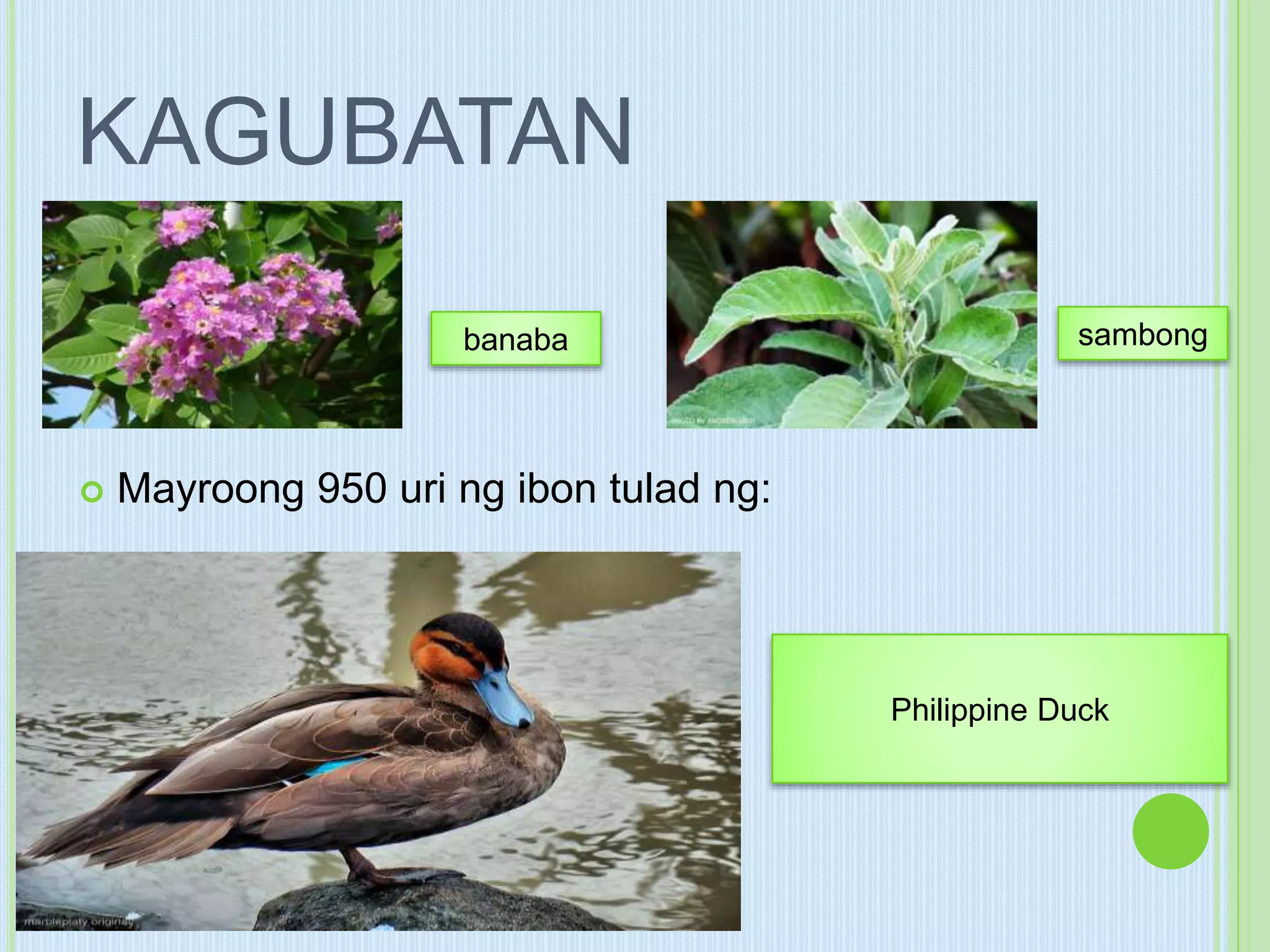 Yamang Lupa Sa Pilipinas