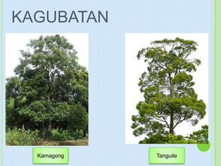 Yamang Lupa sa Pilipinas | PPTX