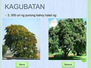 Yamang Lupa Sa Pilipinas