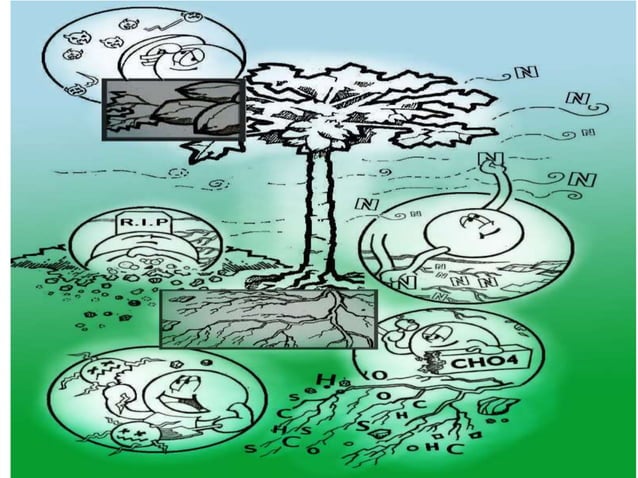 LIKASAKA ang natural na paraan ng pagsasaka | PPTX