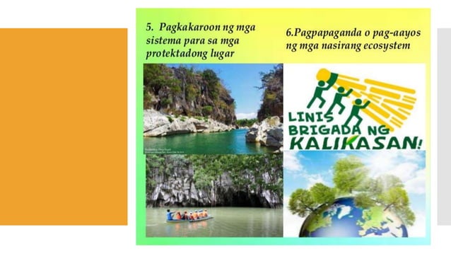 Likas kayang pag unlad | PDF