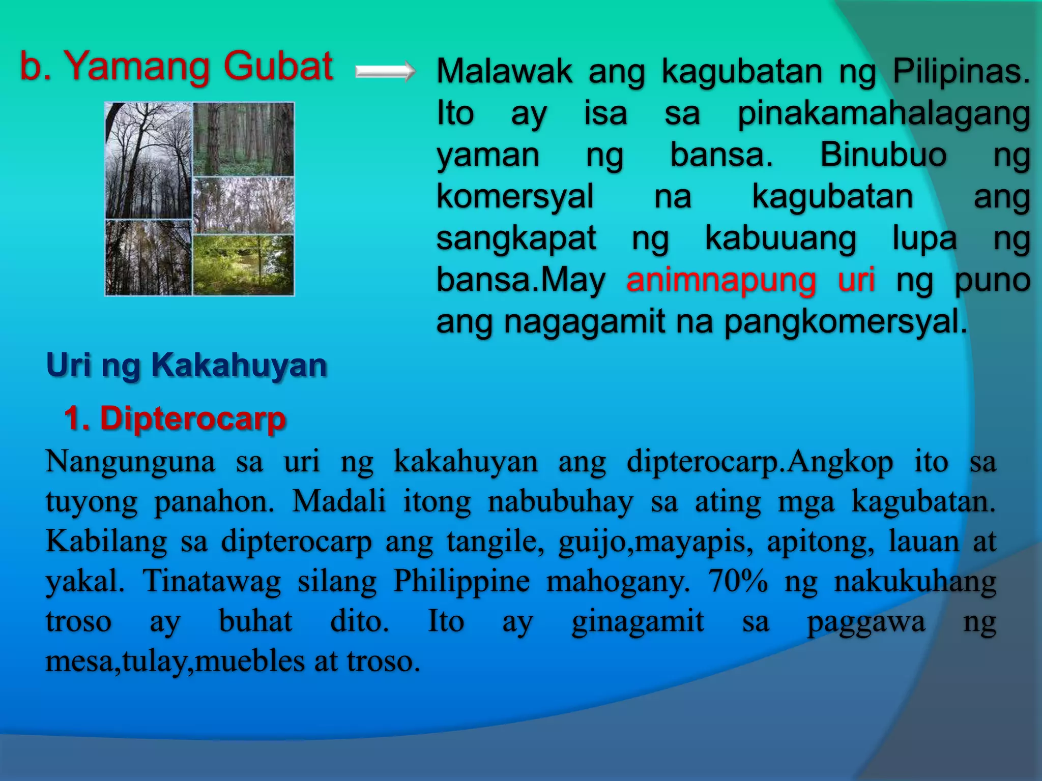 (Likas na yaman) | PPTX