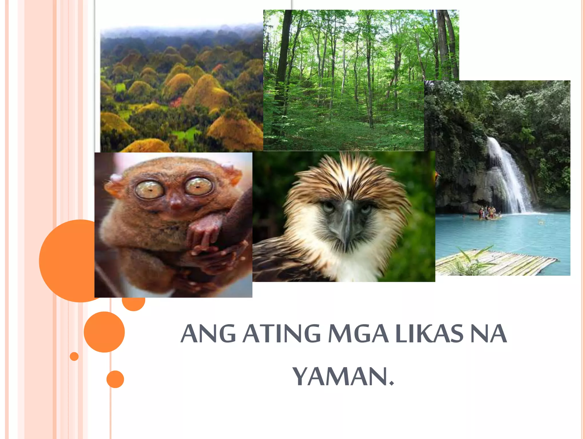 Likas na yaman | PPTX