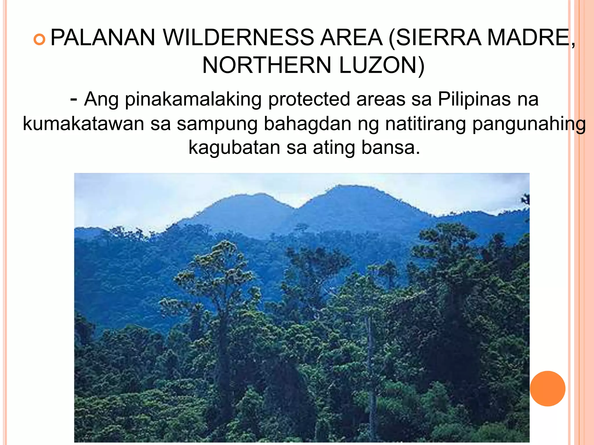 Likas na yaman | PPTX