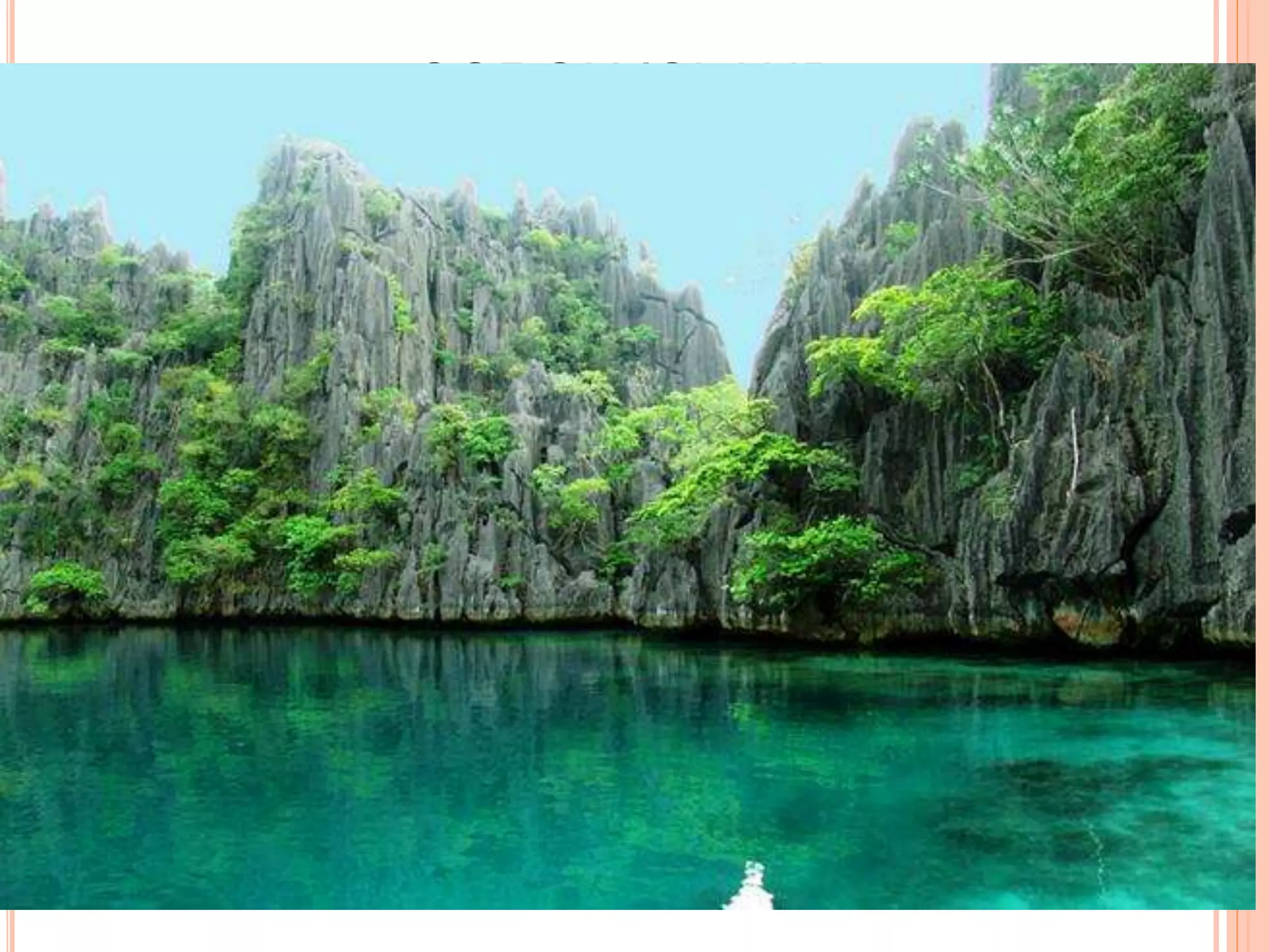 Likas na yaman | PPTX