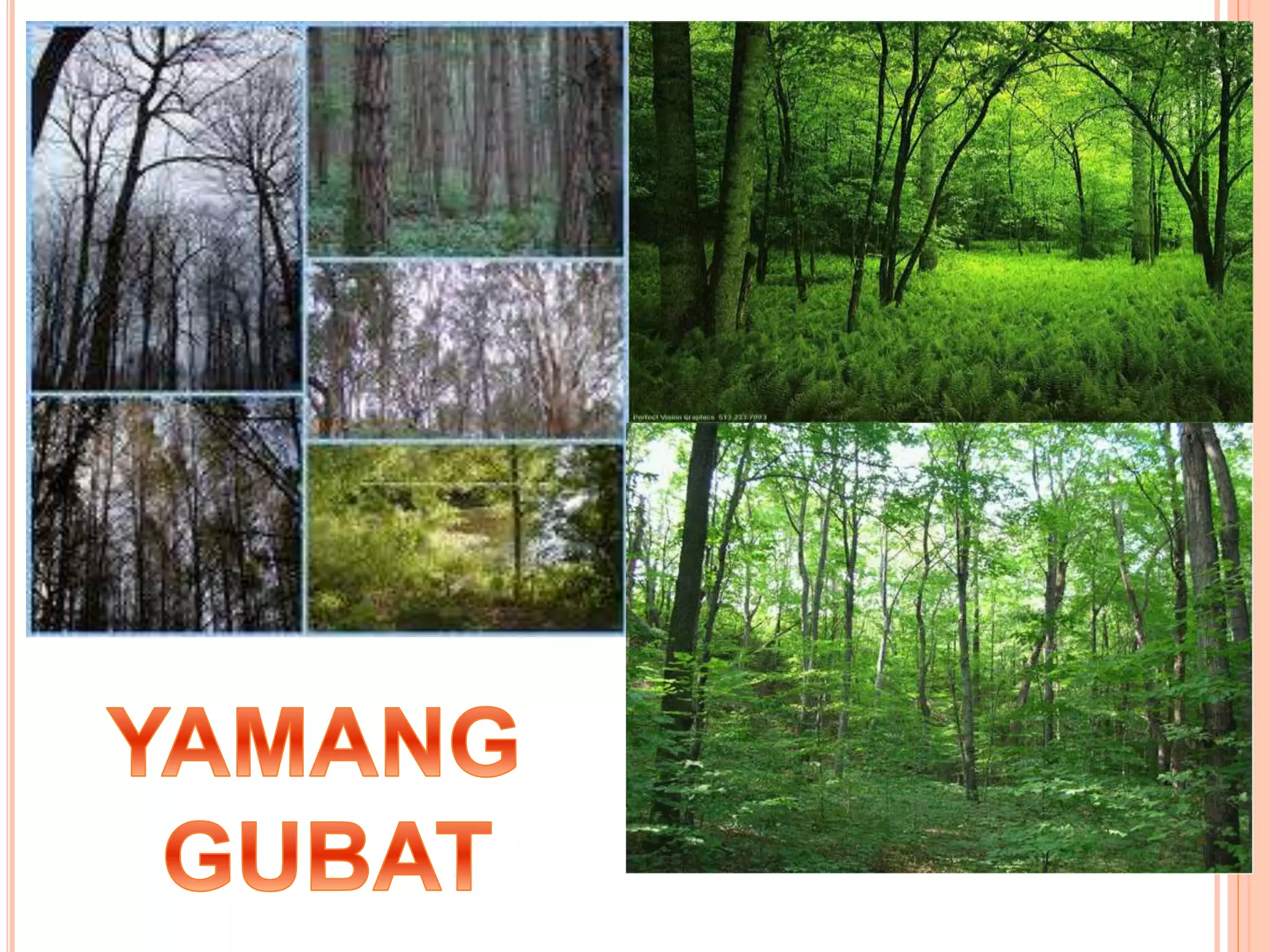 Likas na yaman | PPTX