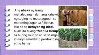 LIKAS NA YAMAN ng bansang pilipinas bans | PPTX