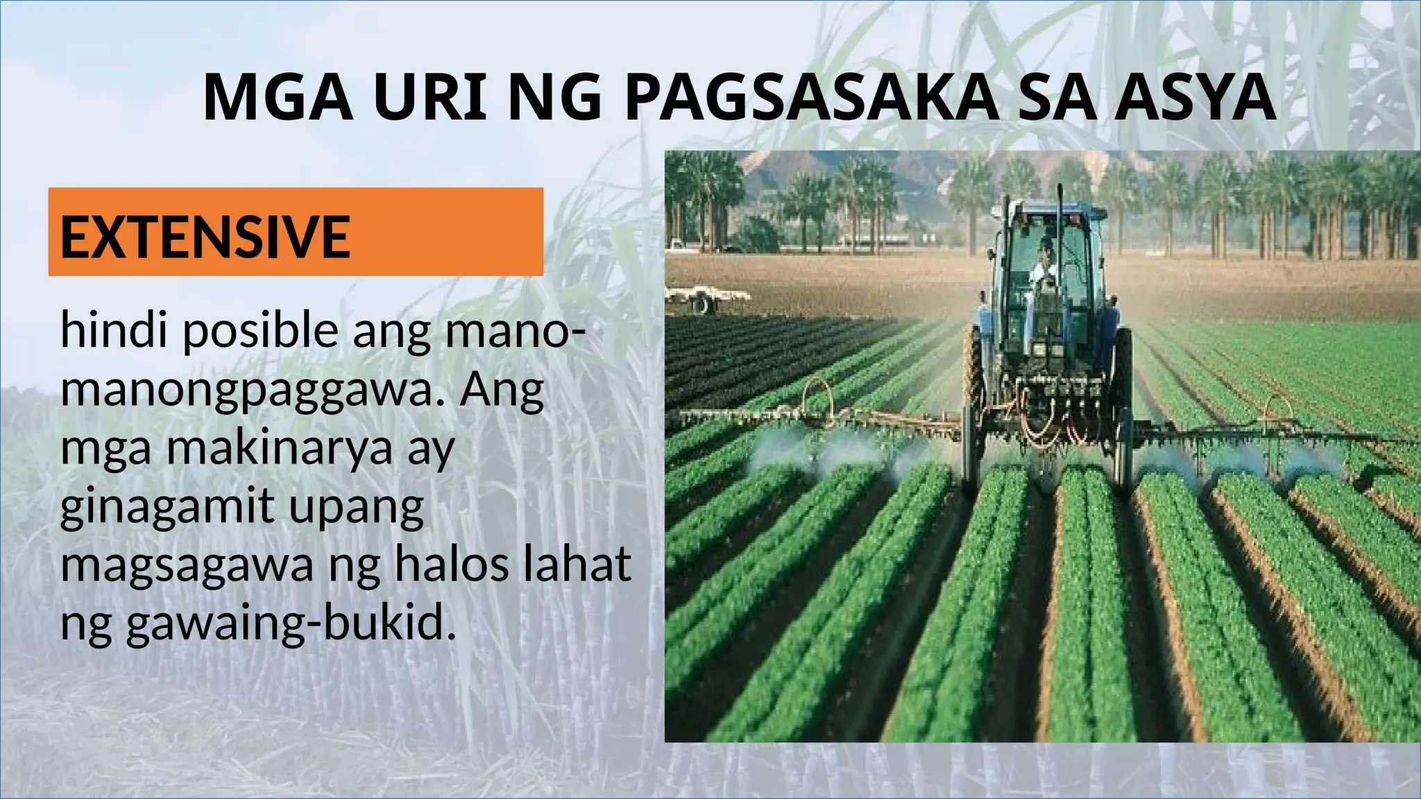 LIKAS NA YAMAN NG ASYA- timog silangang asya | PPTX