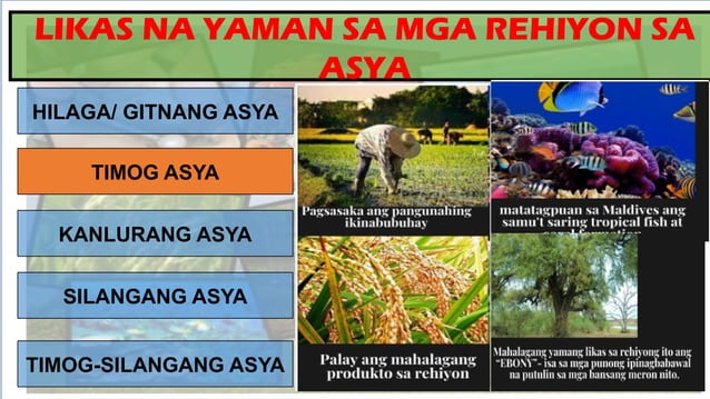 LIKAS NA YAMAN NG ASYA- timog silangang asya | PPTX