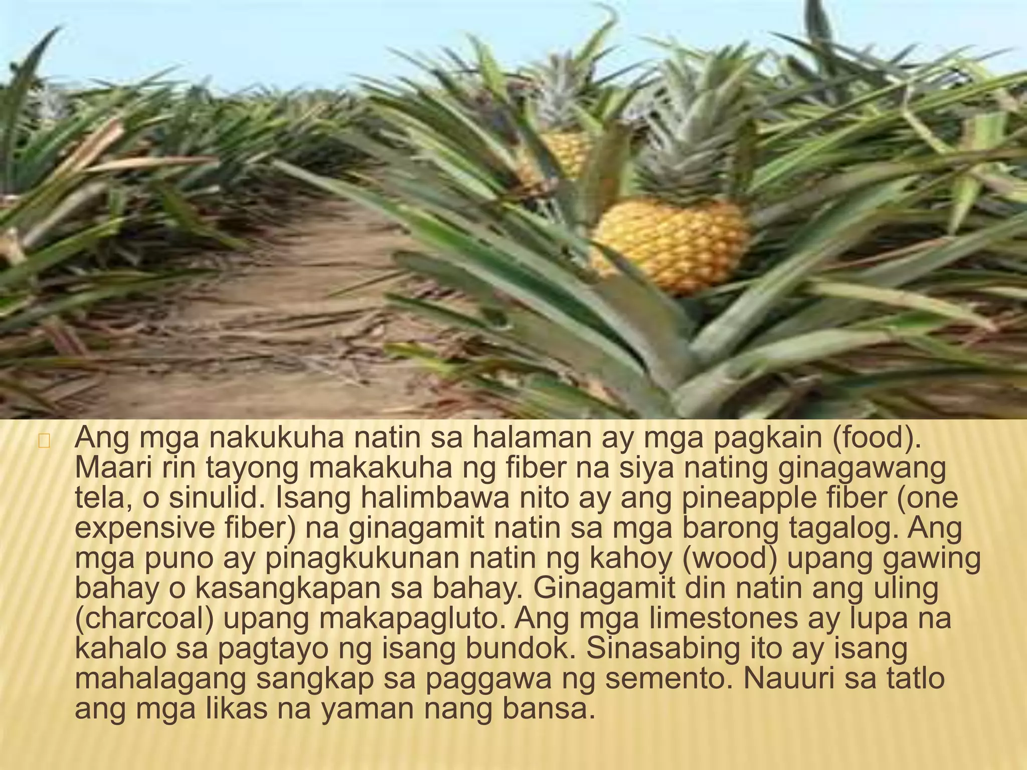 Likas na yaman ng pilipinas | PPTX