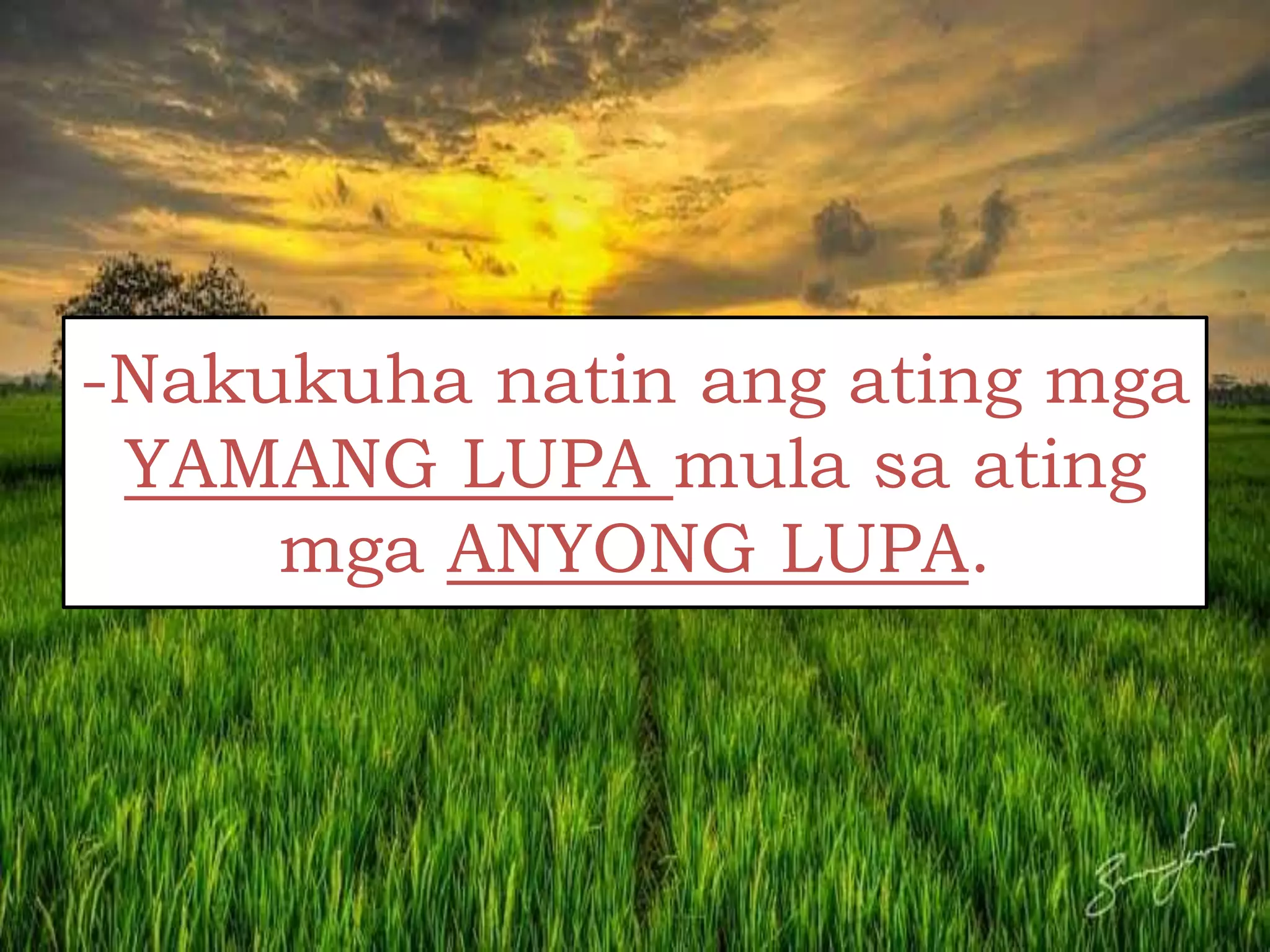 Likas na yaman ng pilipinas | PPTX