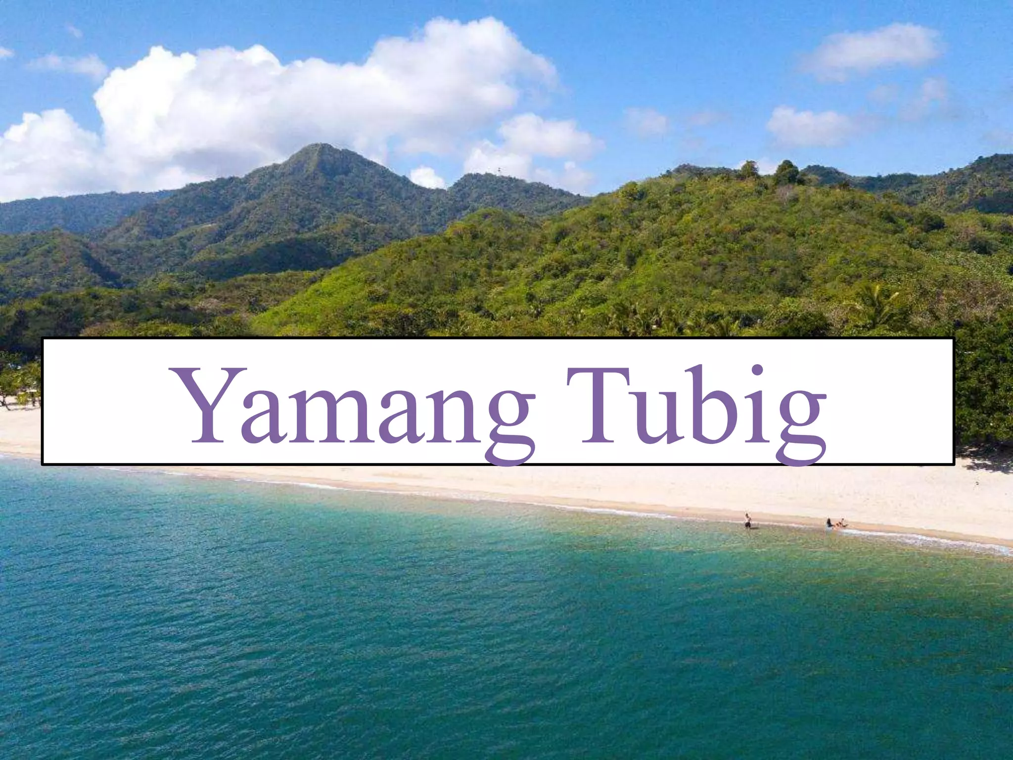 Likas na yaman ng pilipinas | PPTX