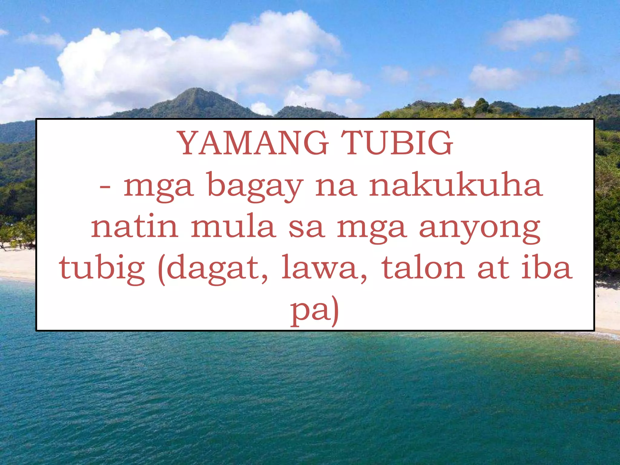 Likas na yaman ng pilipinas | PPTX