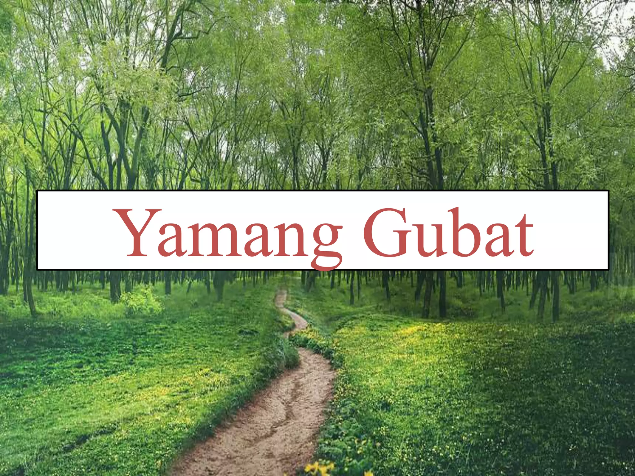 Likas na yaman ng pilipinas | PPTX