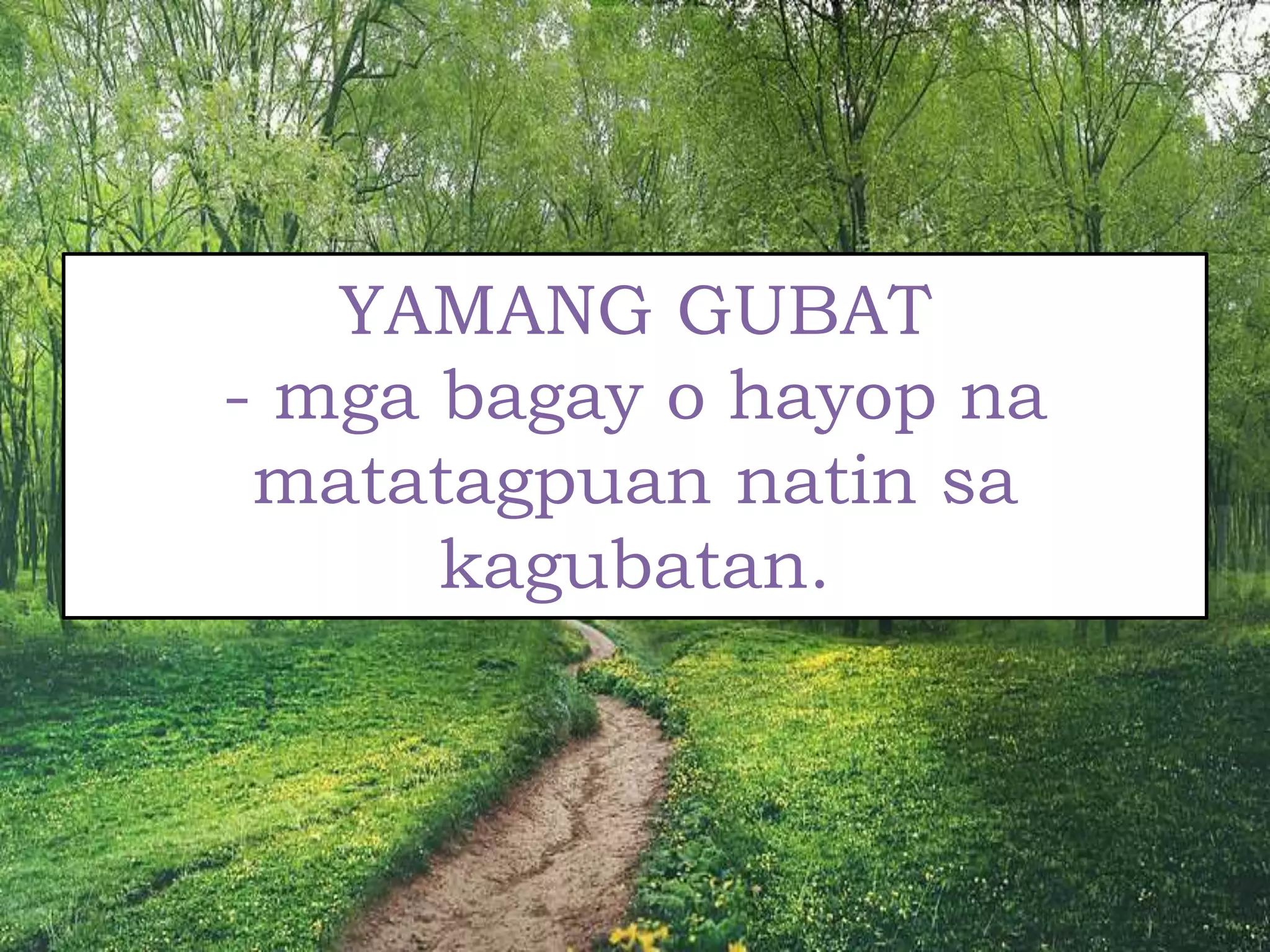 Likas na yaman ng pilipinas | PPTX