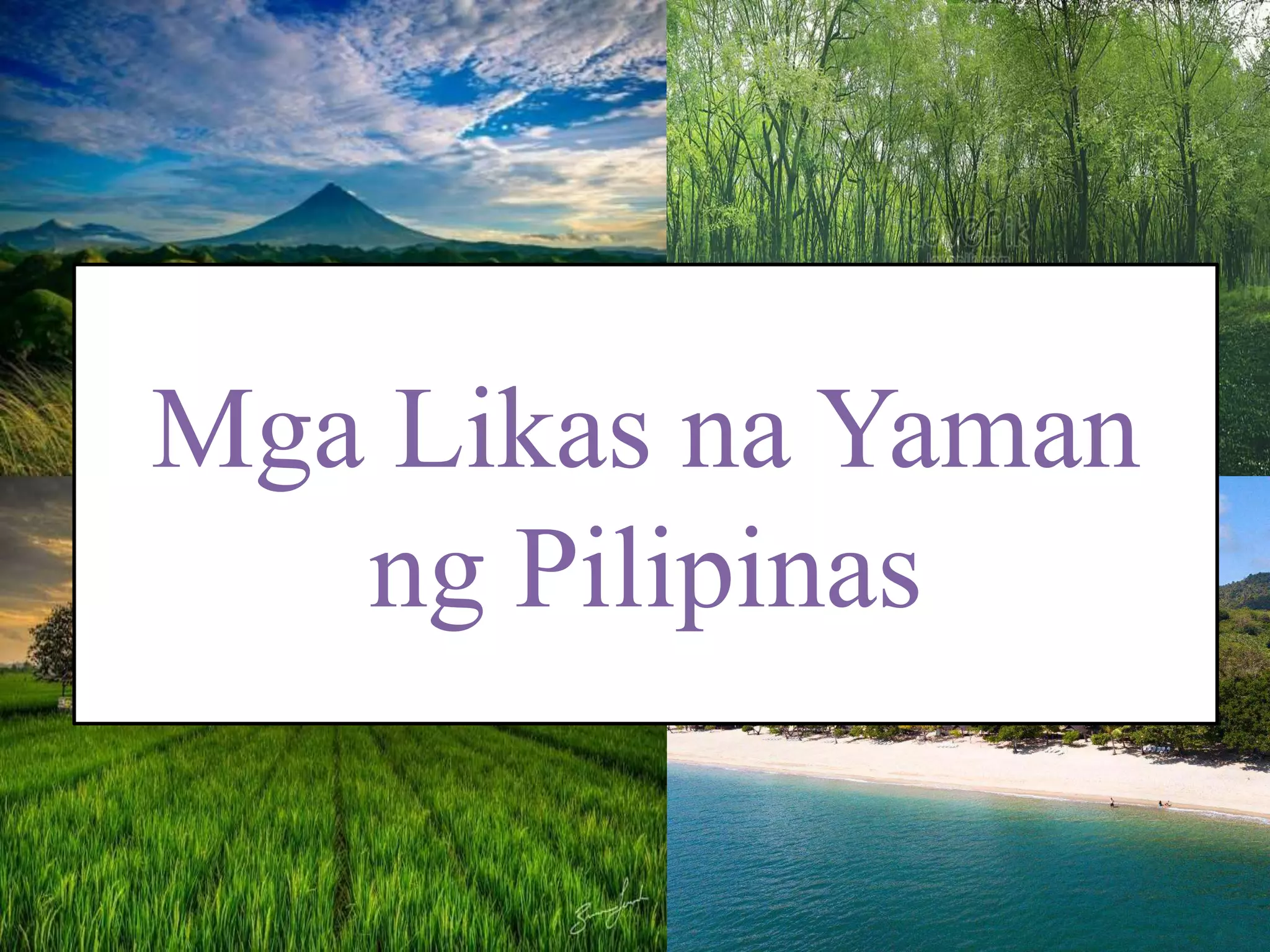 Likas na yaman ng pilipinas | PPTX