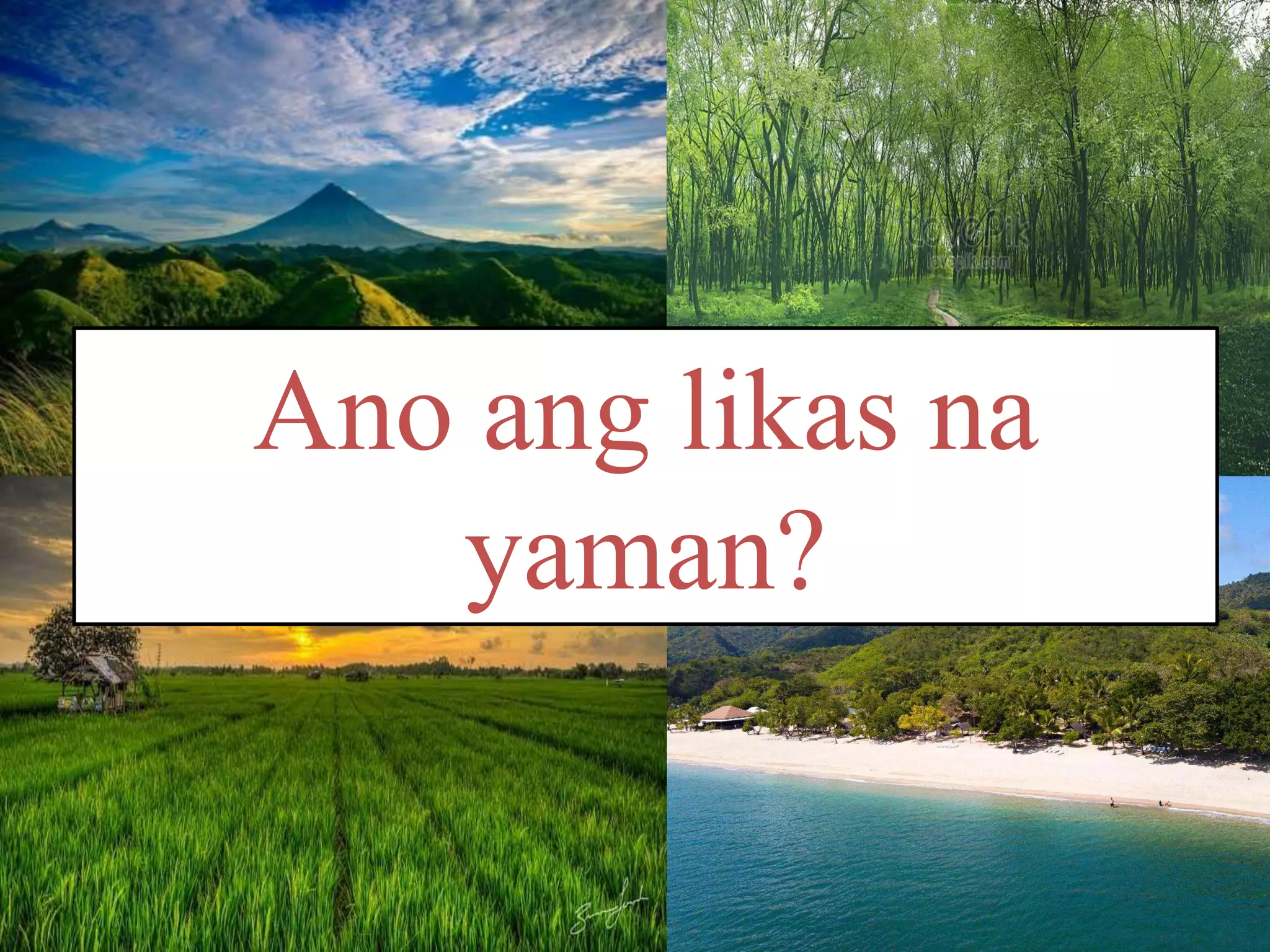 Likas na yaman ng pilipinas | PPTX