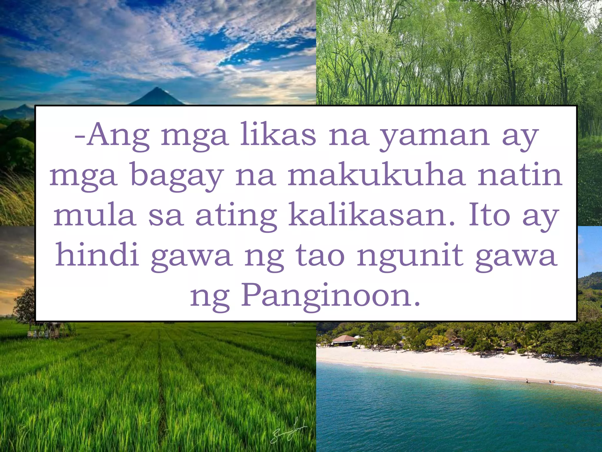 Likas na yaman ng pilipinas | PPTX