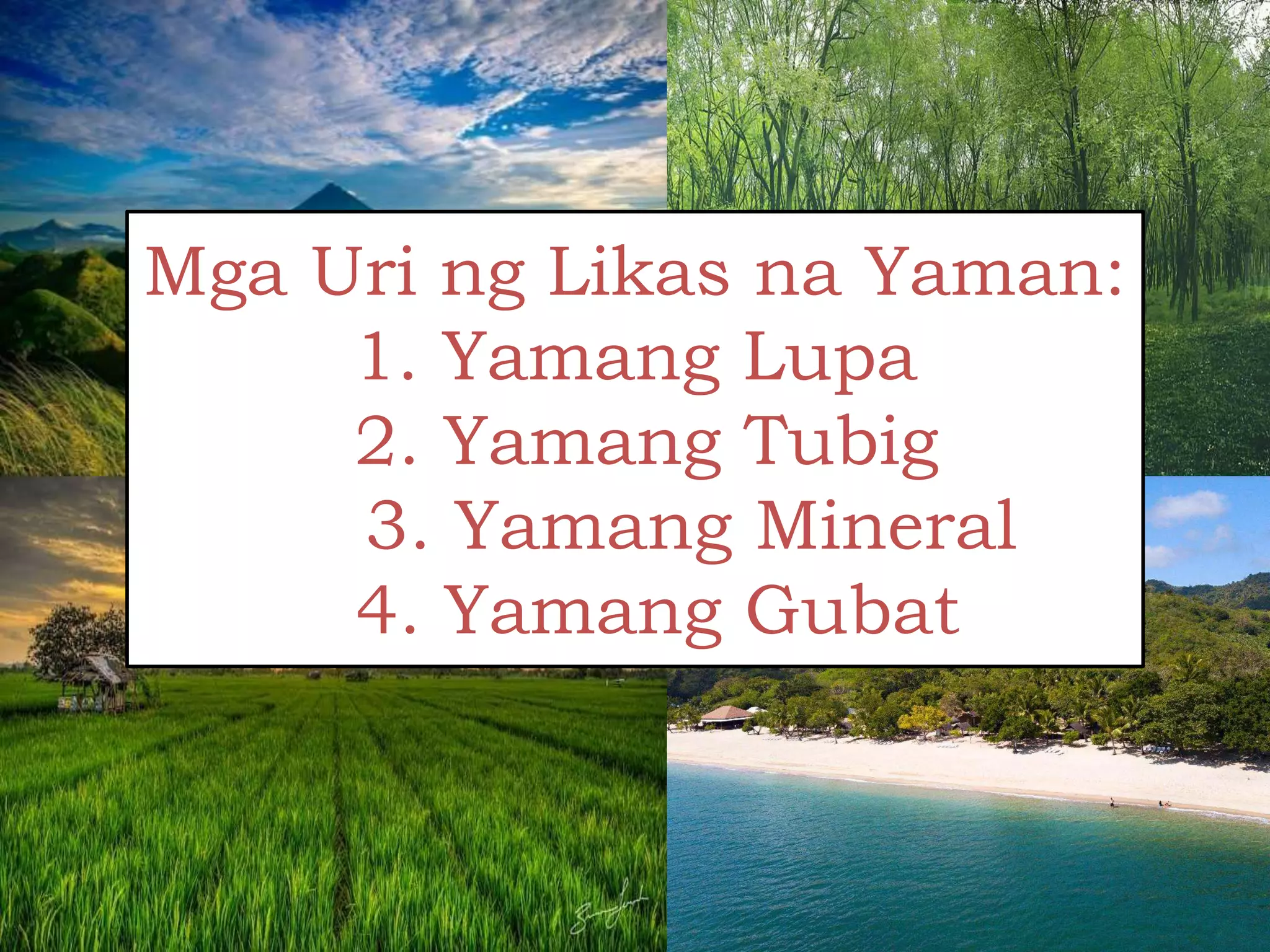 Likas na yaman ng pilipinas | PPTX