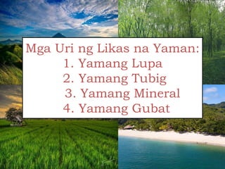 Likas na yaman ng pilipinas | PPTX