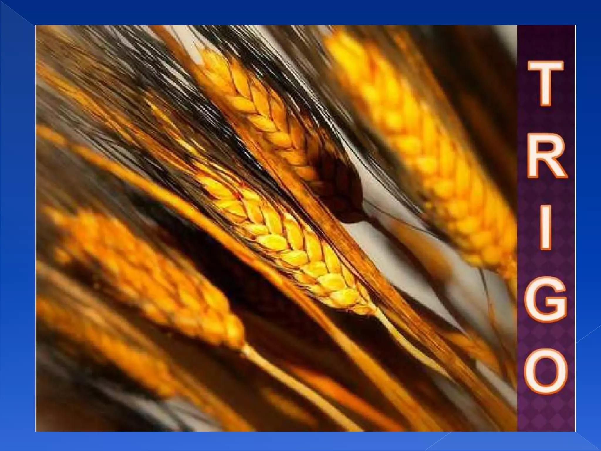 Likas na yaman ng timog asya | PPTX