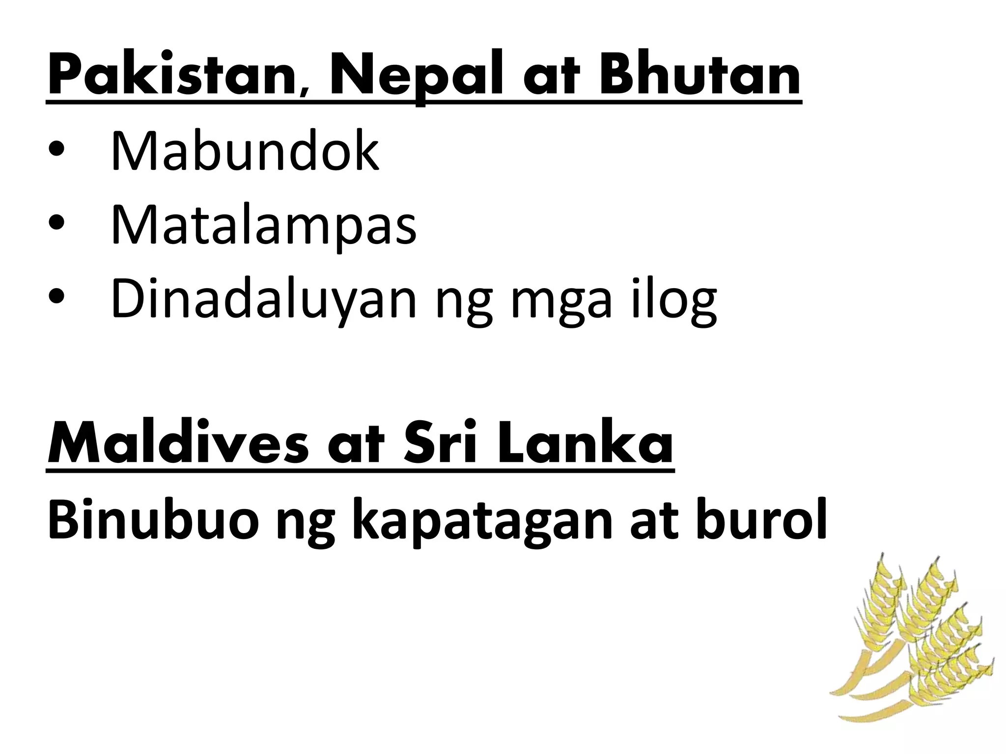 Likas na yaman ng timog asya | PPTX