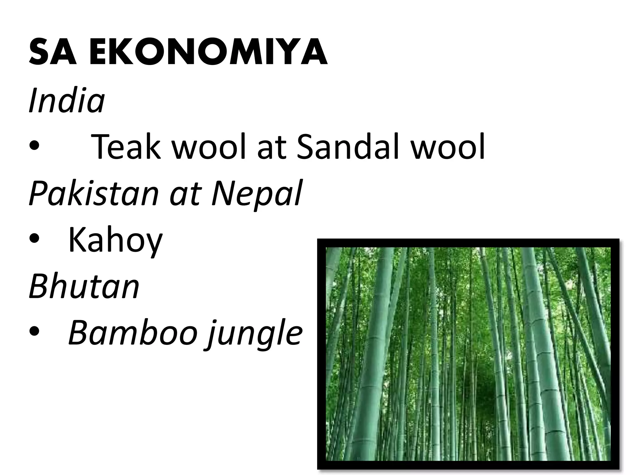 Likas Na Yaman Ng Timog Asya Ppt