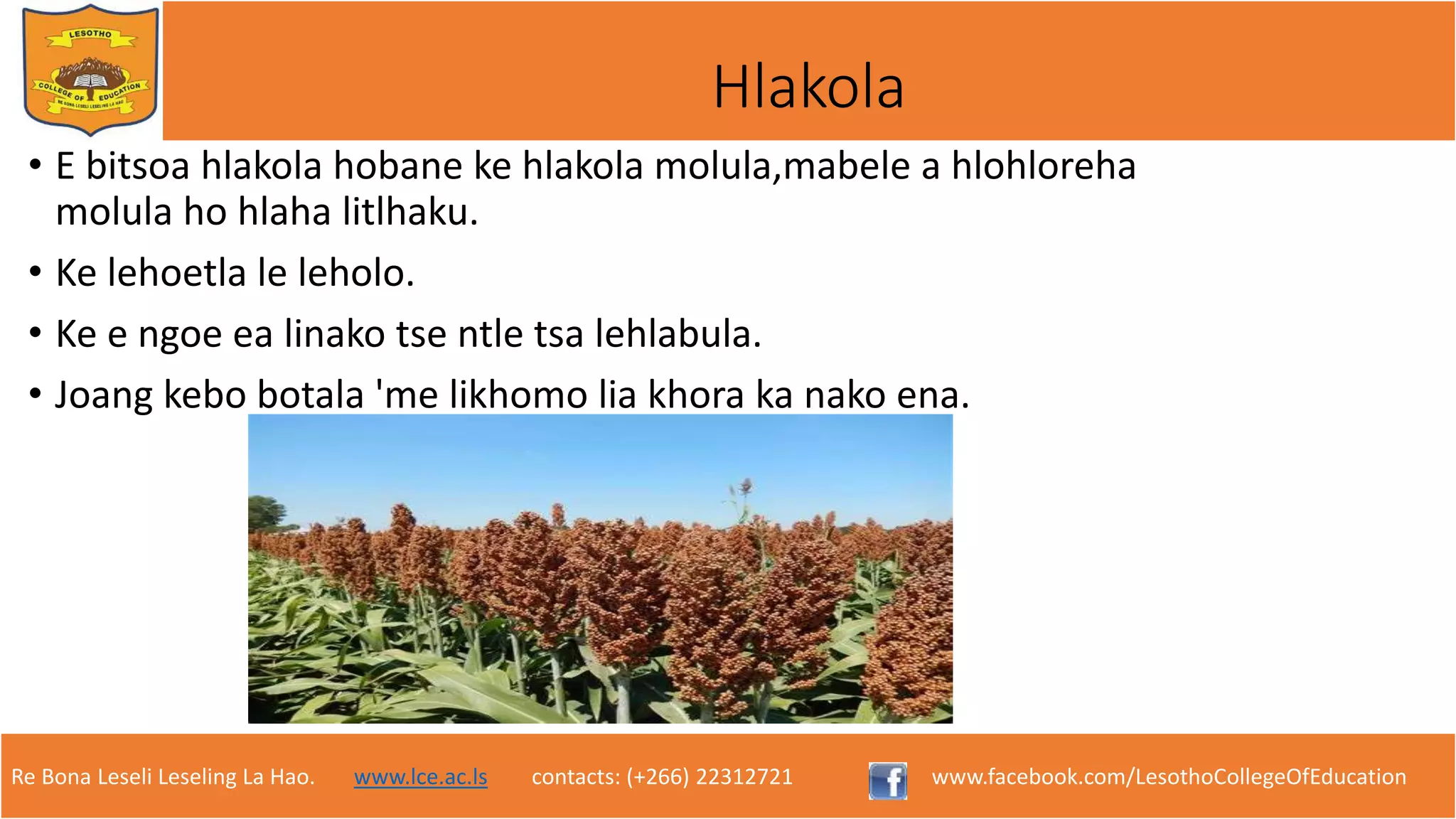 Likhoeli tsa ngoaha | PPTX