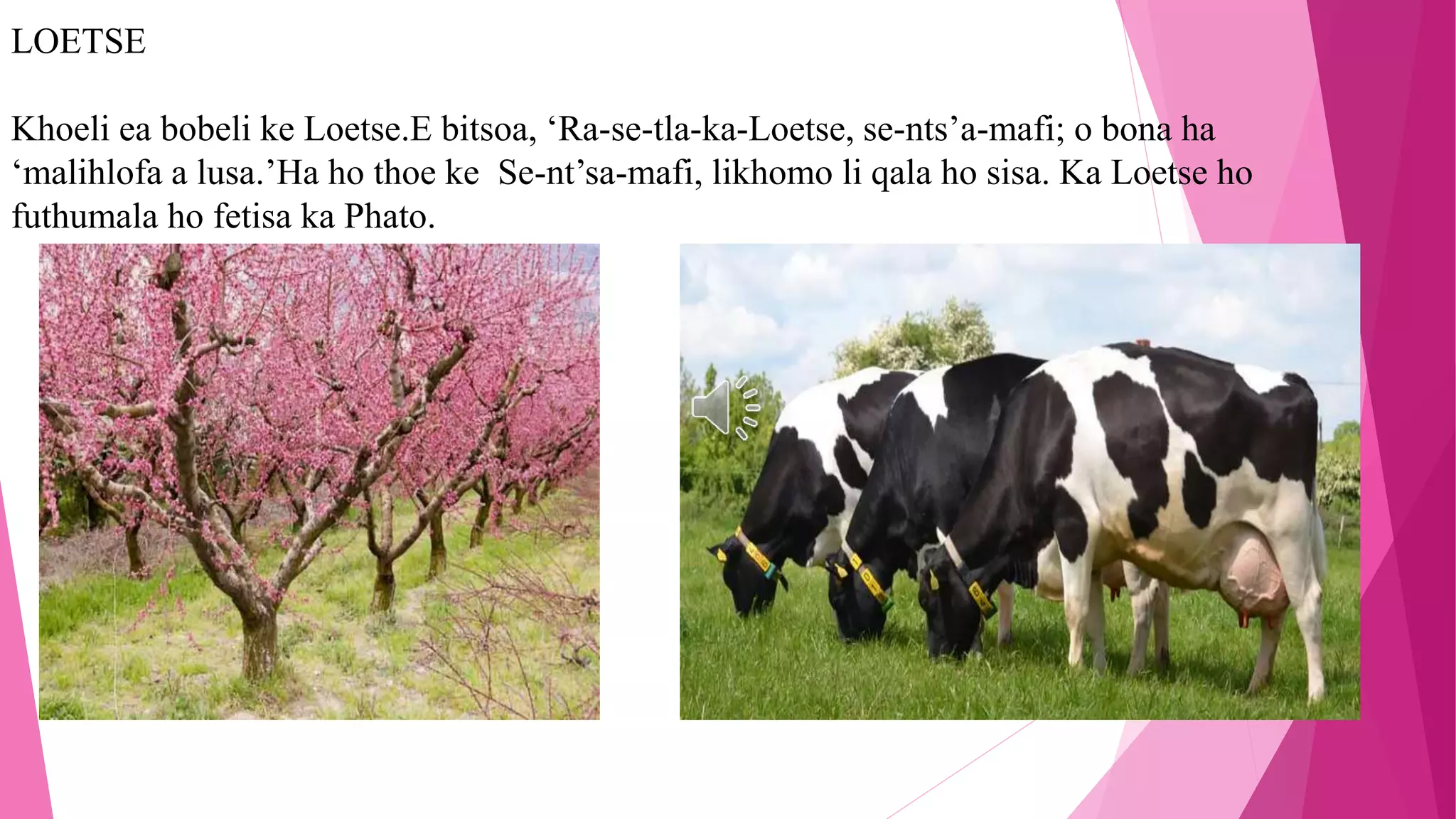 Likhoeli tsa selemo ka sesotho ka Palesa Masopha.pptx