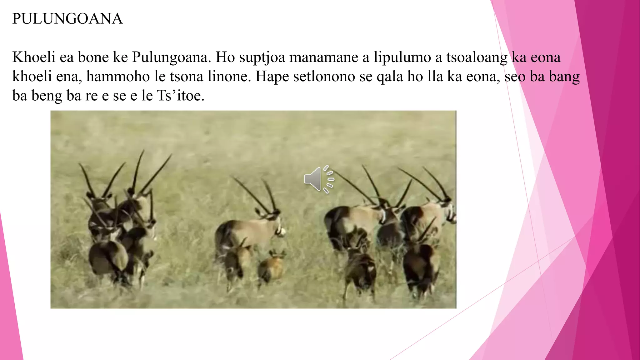 Likhoeli tsa selemo ka sesotho ka Palesa Masopha.pptx