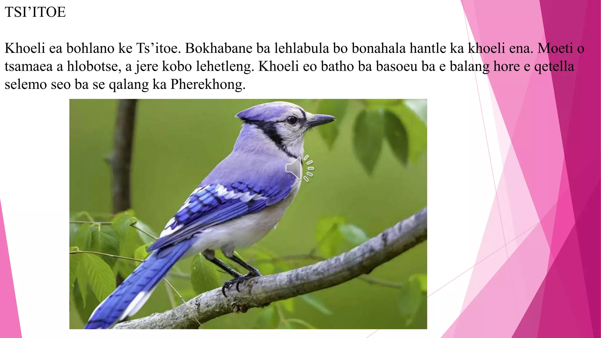 Likhoeli tsa selemo ka sesotho ka Palesa Masopha.pptx