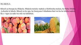 Likhoeli tsa selemo ka sesotho ka Palesa Masopha.pptx
