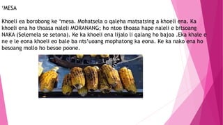 Likhoeli tsa selemo ka sesotho ka Palesa Masopha.pptx