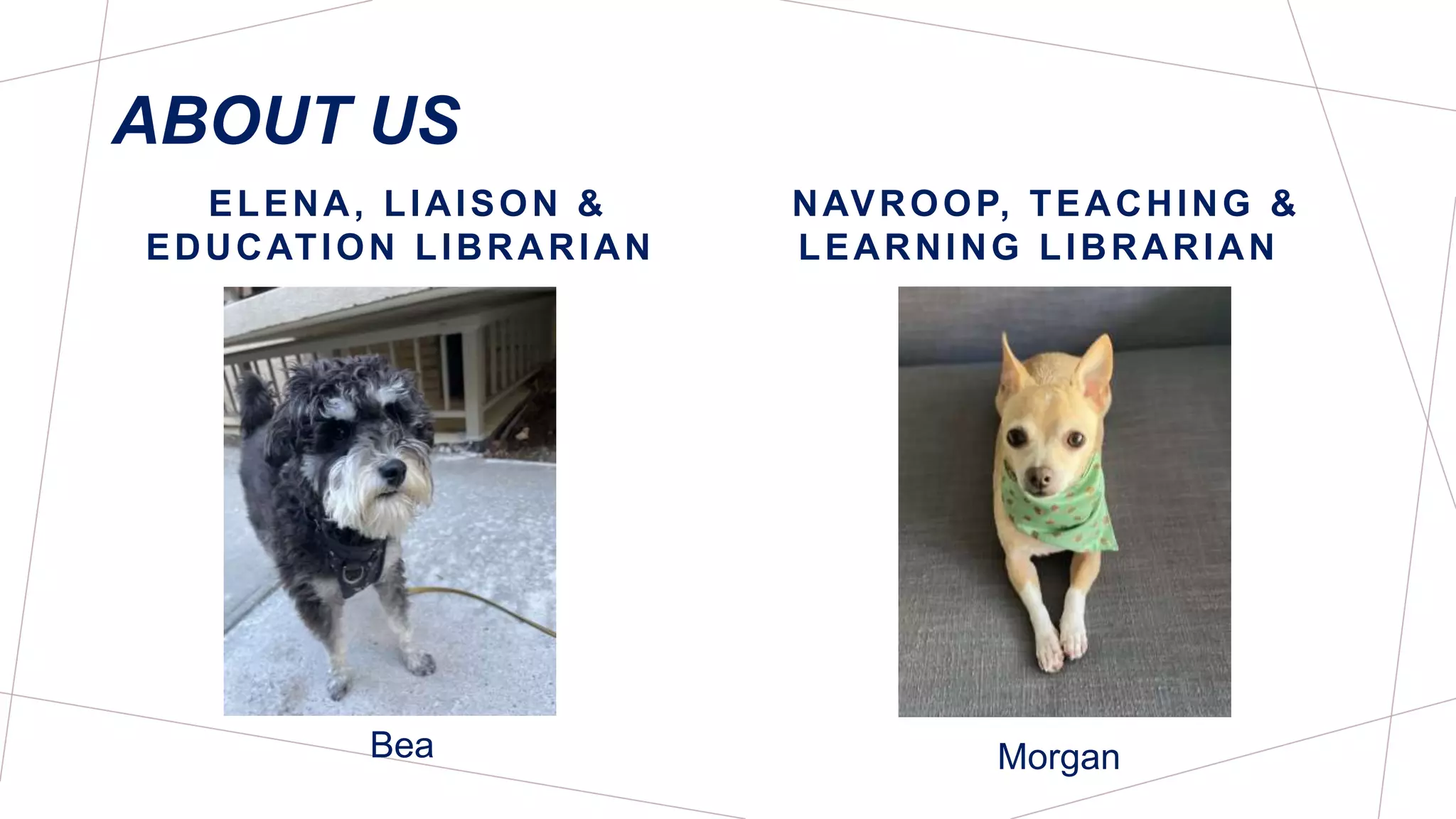 Gill, N. & Springall, E. Making instruction more sustainable through ...