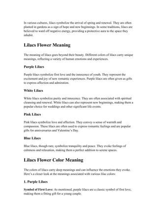 Lilacs Spiritual Meaning and Symbolism.docx